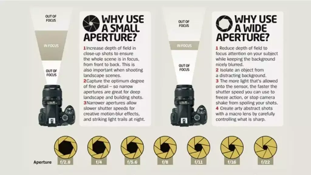 Understanding Aperture A Photographer's Guide to Light and Depth